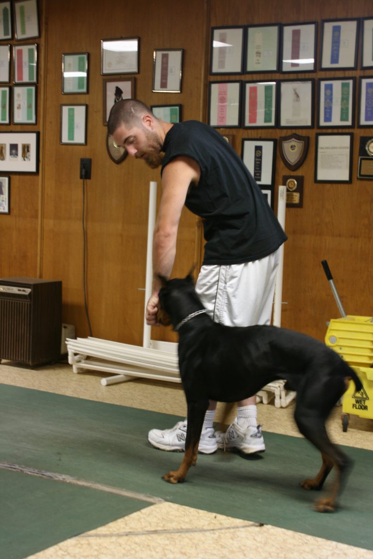 Student’s Training Their Dog - Nu Dog K-9 Center
