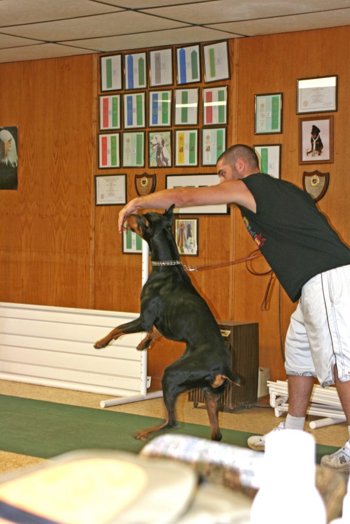 Student’s Training Their Dog - Nu Dog K-9 Center